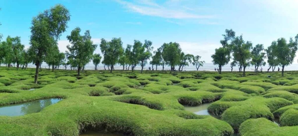 Guliakhali Sea Beach, Chittagong - The Mangrove Beach - HTLBD