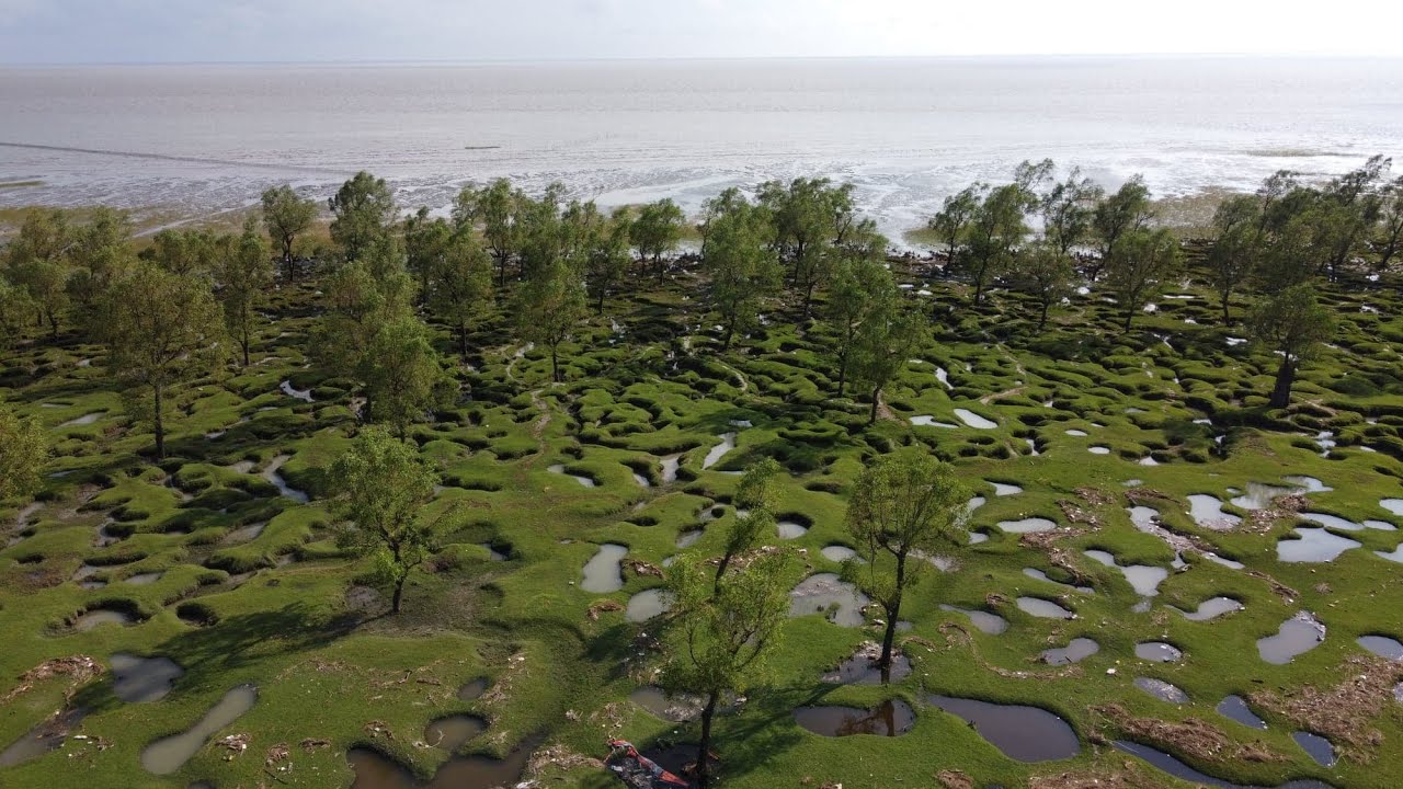 Guliakhali Sea Beach, Chittagong - The Mangrove Beach - HTLBD